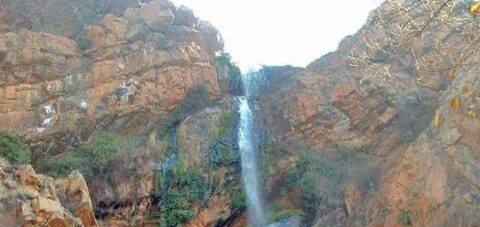 Region C | Joburg City